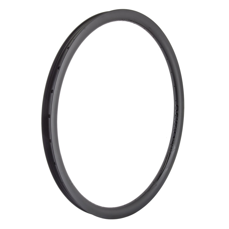 Origin8 Bolt Carbon MTB DH 29 32H Rim – The Bike and Trike